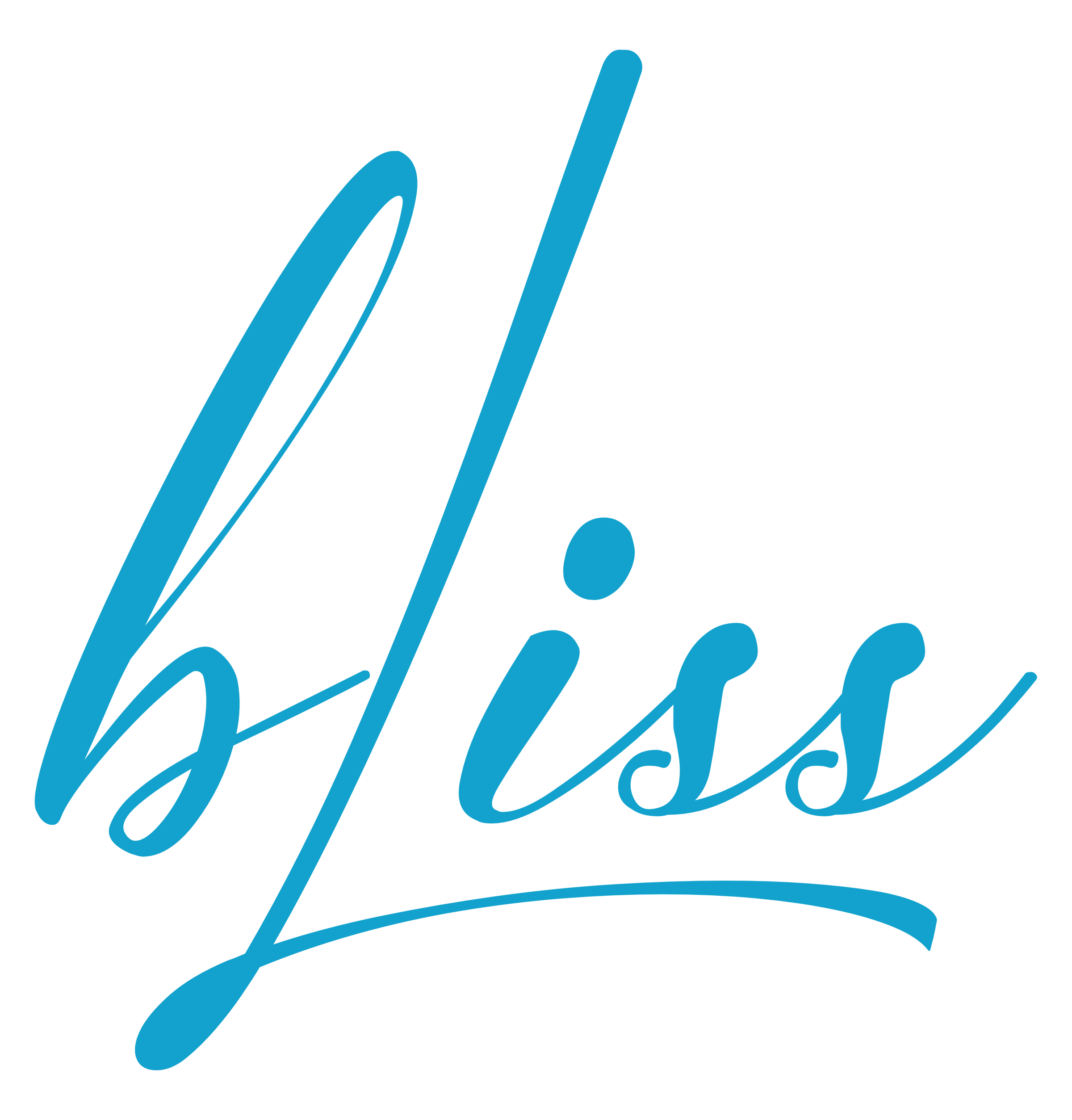 bLiss logo